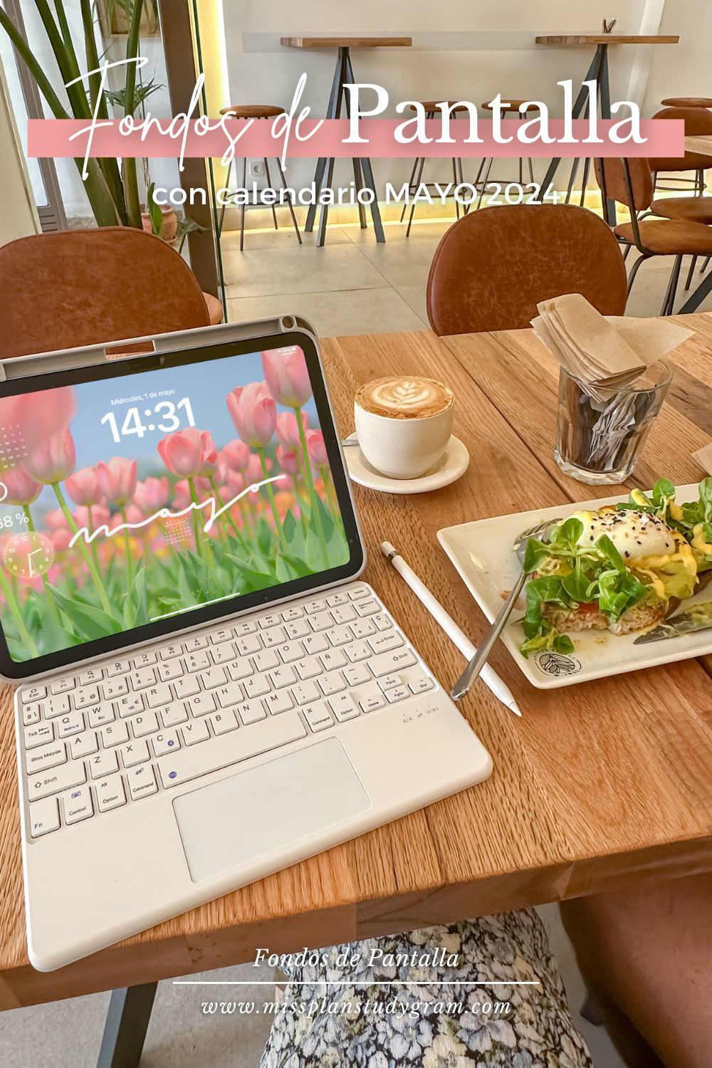 Miss Plan Studygram - Oposiciones • Descargables • Lifestyle